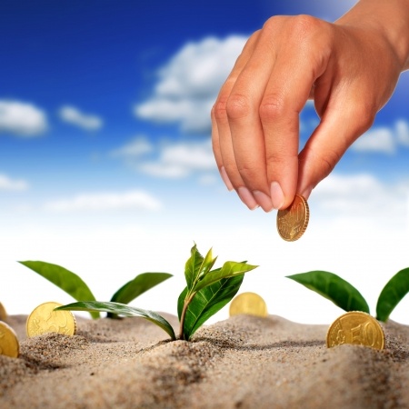 Go Green With Your Investments